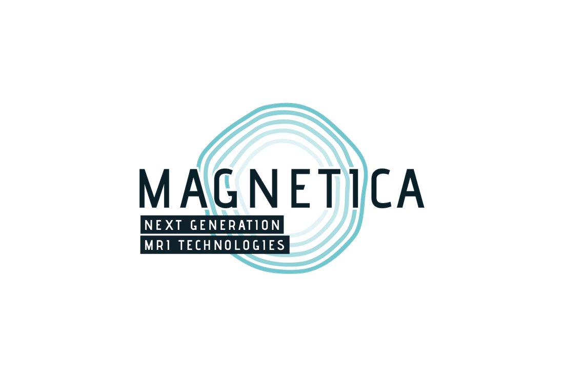 Capital Raising Outcome Announcement - Magnetica
