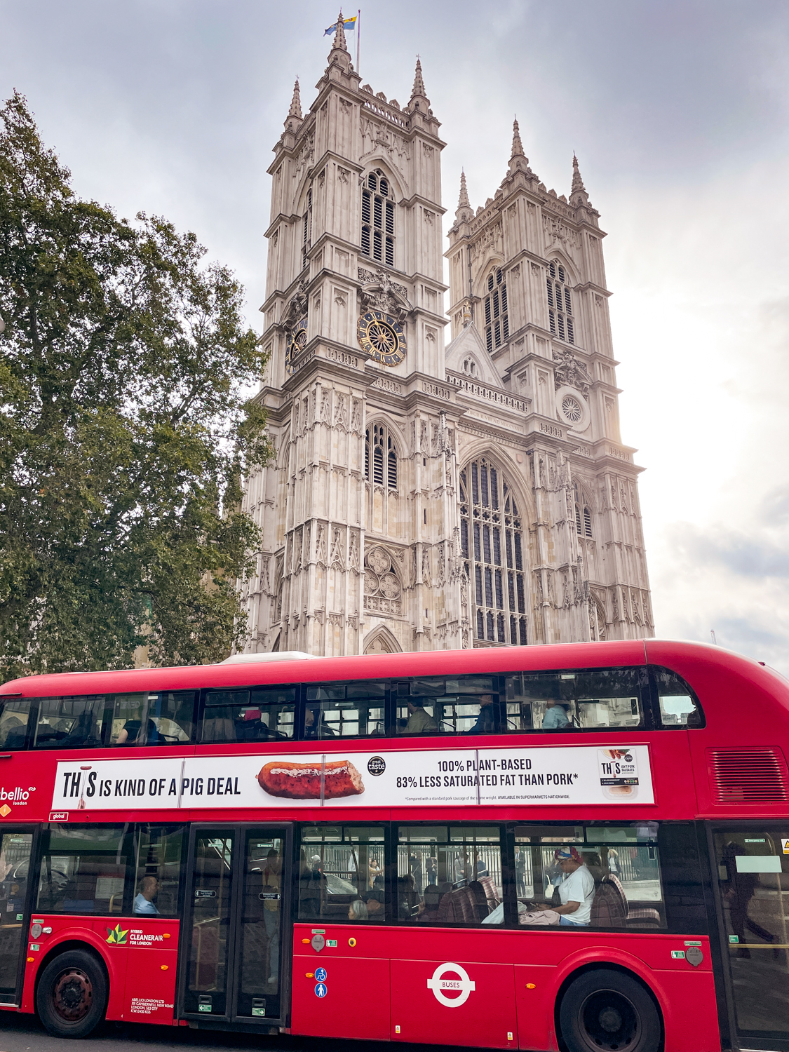 Pioneering Progress: Highlights from MSK 2023